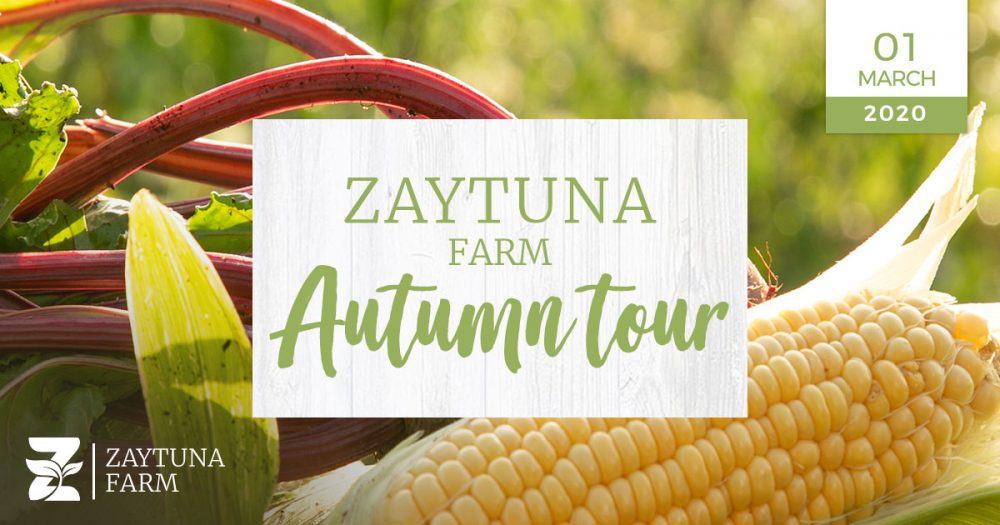 Zaytuna Farm | Permaculture Courses & Events